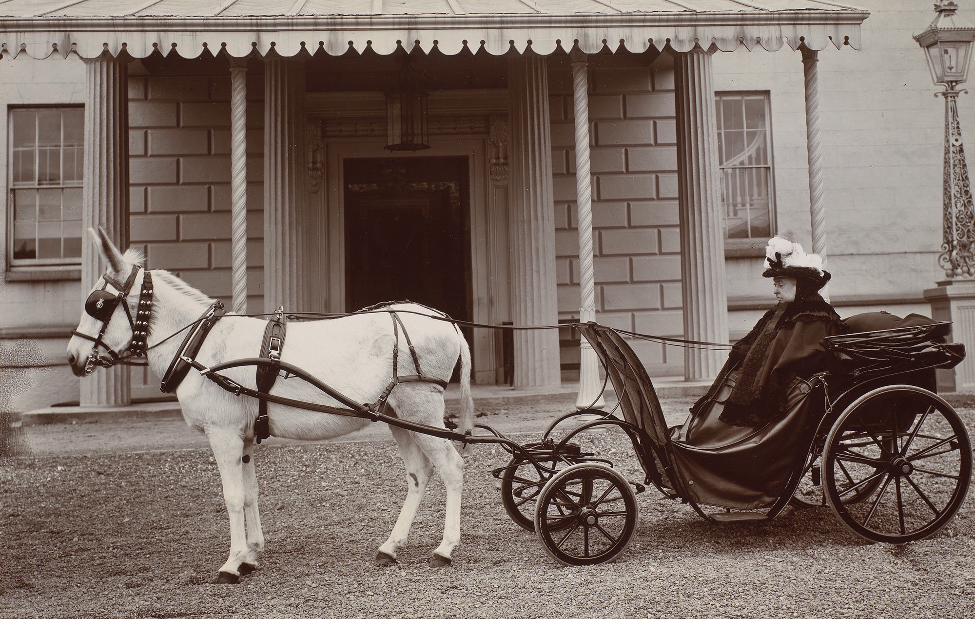 Royal Collection – Queen.Victoria.Roses